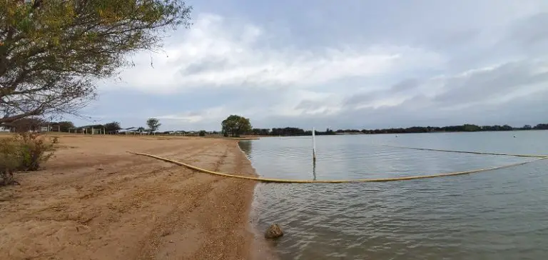 Is Lake Waco Safe To Swim In? (What You Need To Know)